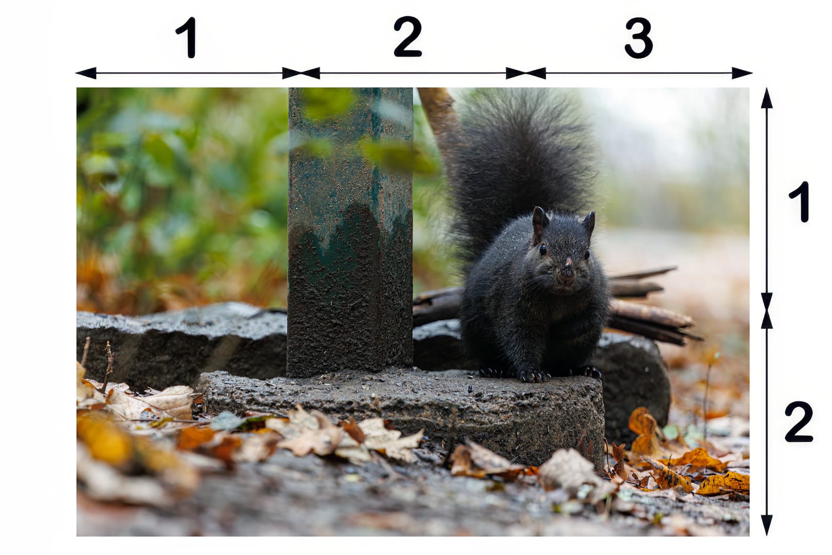 Comprendre les Formats de Photos - Blog photographie